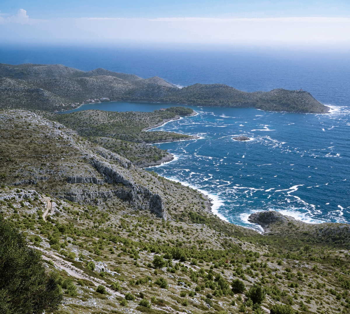 ODRŽAN WEBINAR za stručnu javnost na temu brige za kolonije naših ...